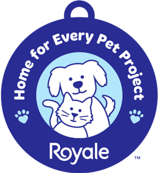 News - SPCA St. John's