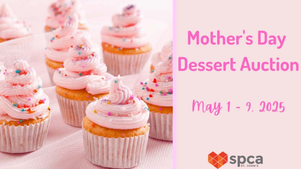 Mother's Day Dessert Auction - SPCA St. John's
