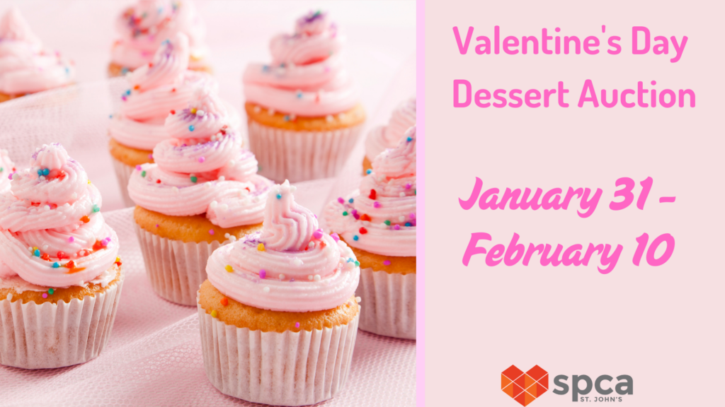 Valentine's Day Dessert Auction 2026 - SPCA St. John's